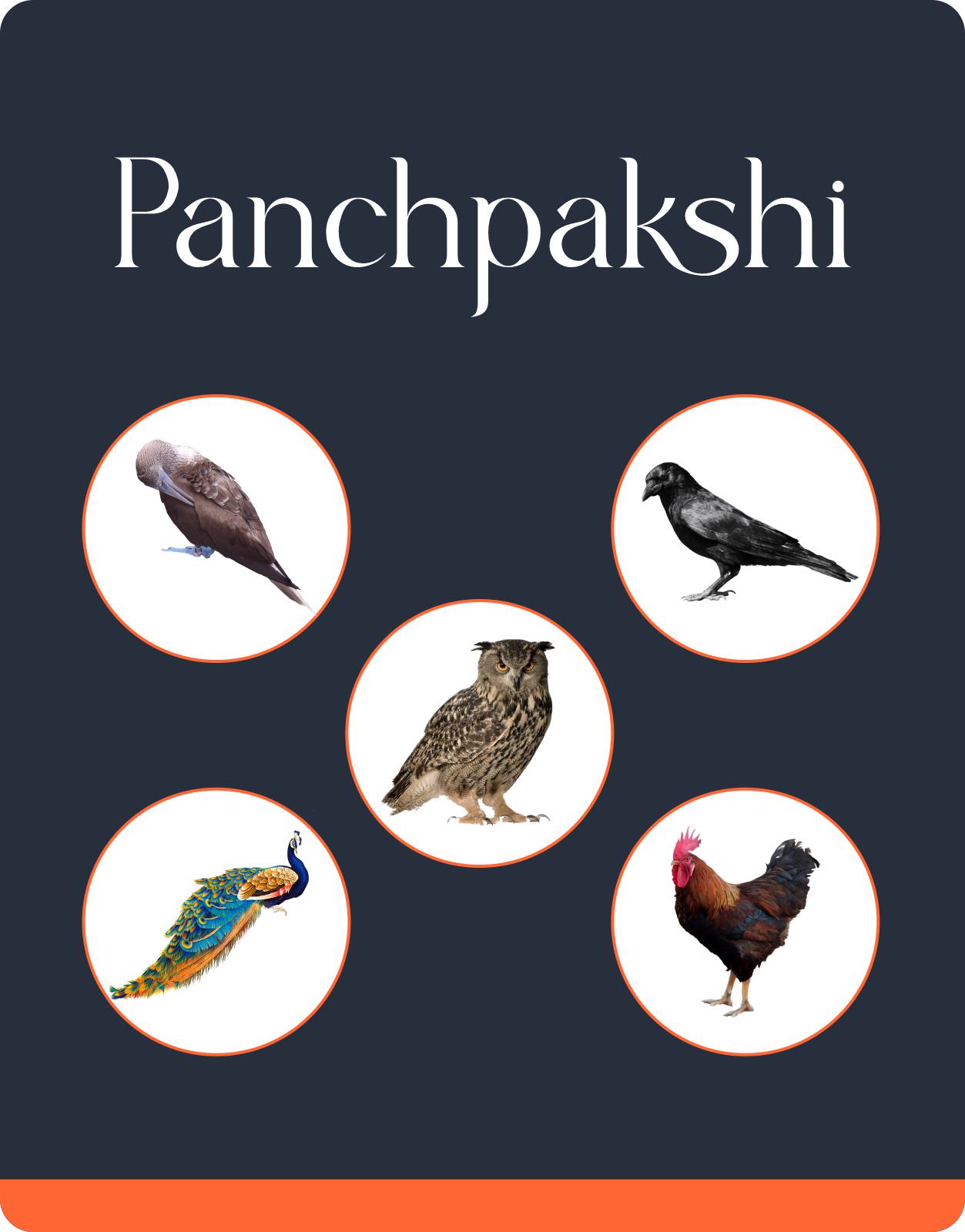 Panchpakshi – Ananta Drishti Academy